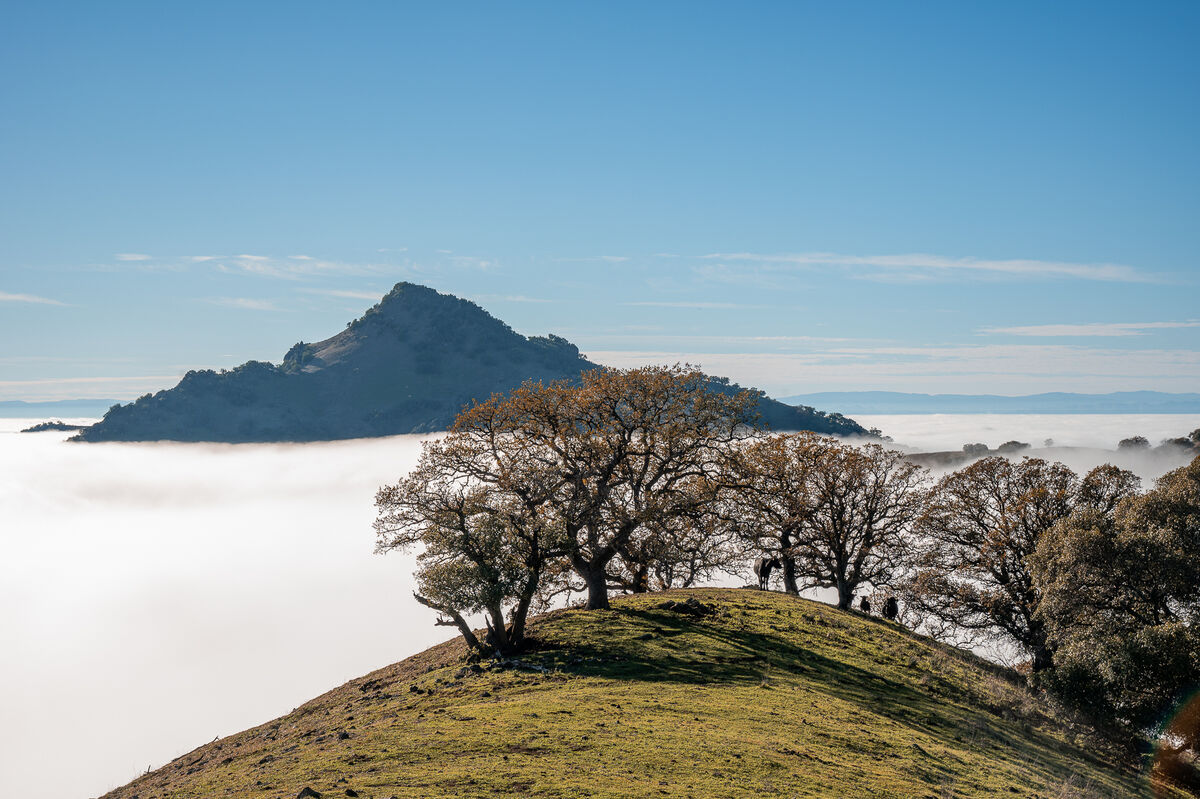 More from Sutter Buttes: There's just a couple more in my collection.
