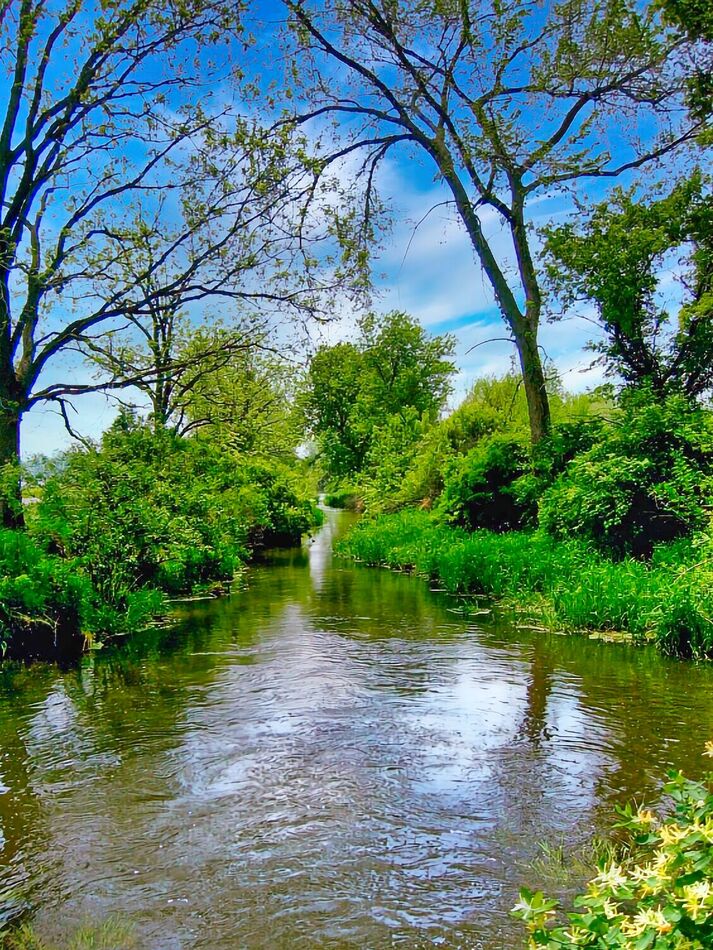 Spring Waters: @ Kingsbury Fish and Wildlife Area 💙🩵🥇🩵💙...