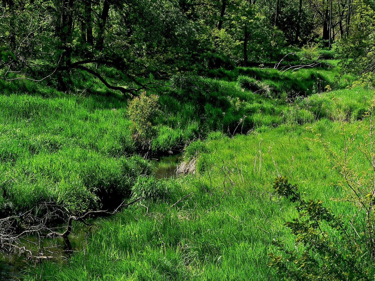 I Sure Miss.. ...the sight of green everywhere 💚💚💚💚...