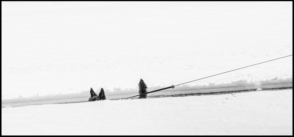 What do you notice in photo: What is the first few things do you notice ...