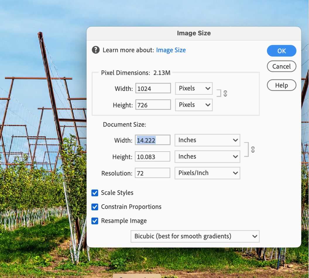 Control Pic Size: How does one control the size of a photo that appears ...