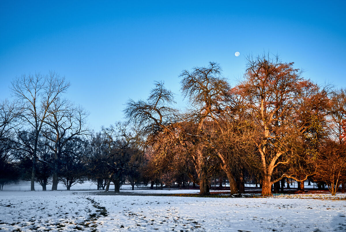 Nice Moonset in the Park this Morning: 20 degrees warmer than the last ...