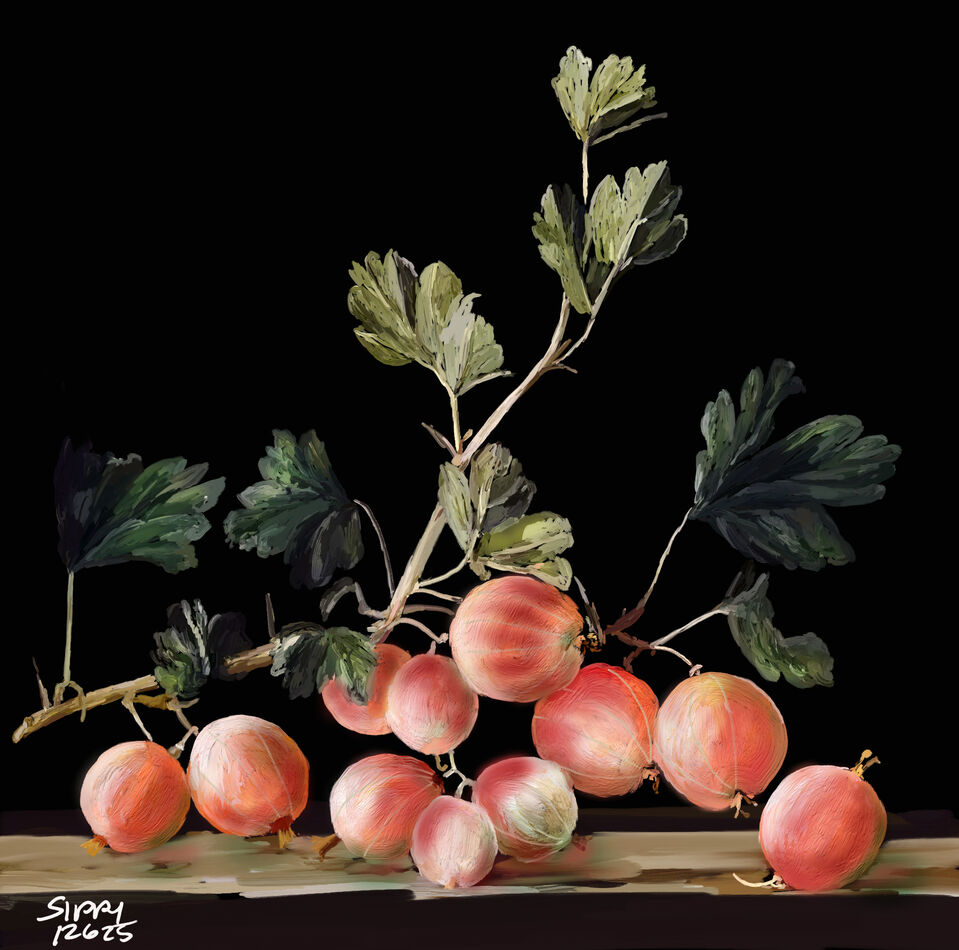 Digital Painting - Gooseberries: Painting fruits and vegetables takes ...