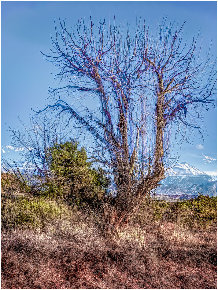 Shot With The Intent To Process: Six individual images, shot from six separate locations ...