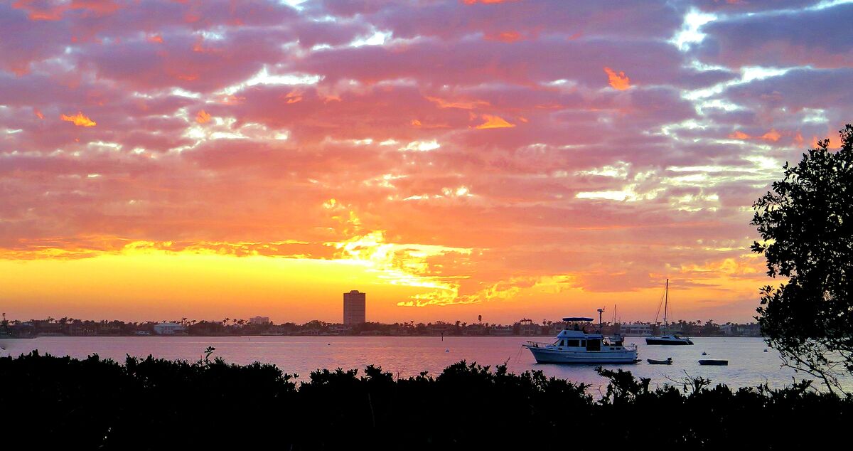 Selby Sunset: Sunset photos recently taken at Selby Gardens, Sarasota, FL.