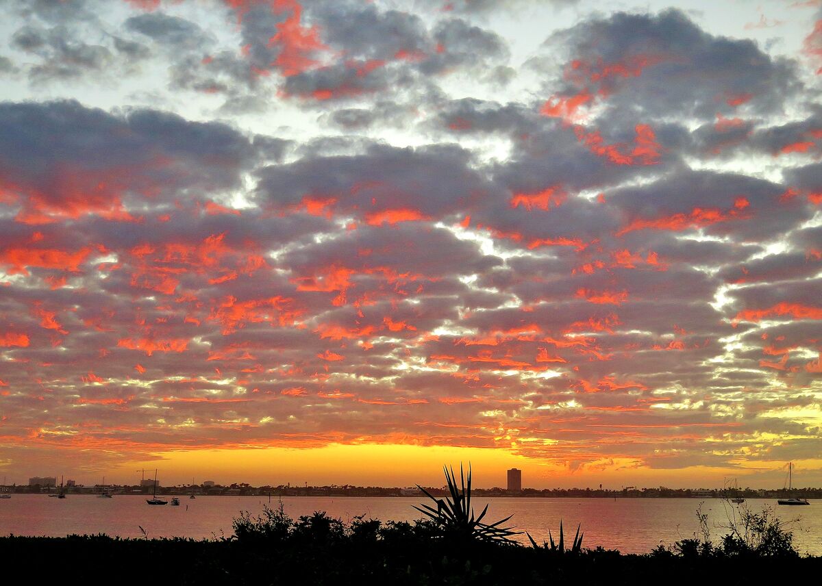 Selby Sunset: Sunset photos recently taken at Selby Gardens, Sarasota, FL.