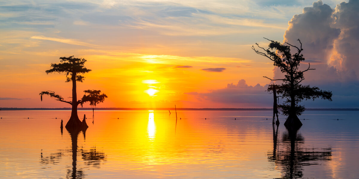 Panoramic Sunrise: Summer Sunrise at Lake Palourde...