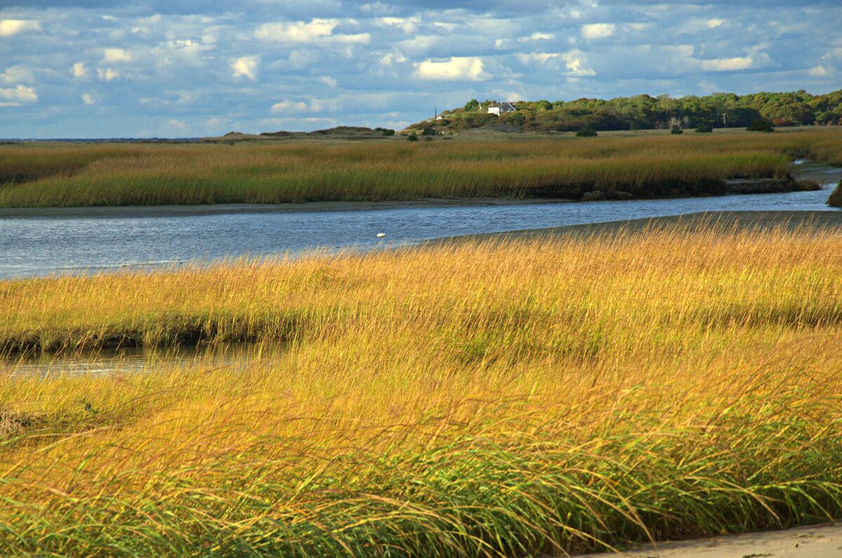 This past Fall: Just received 6" of snow on the Cape, so I thought I ...