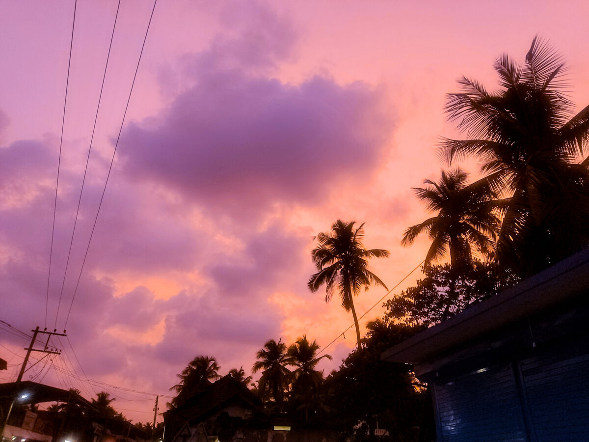 Vibrant Sunset vibe :): Captured this vibrant tropical sunset in Kannur ...