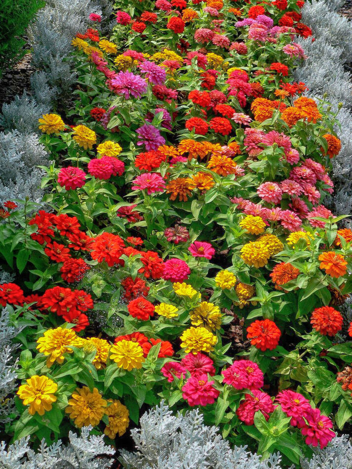 Colors for Your Day: Enjoy the invigorating bath of color 🌈🌈🌈🌈...