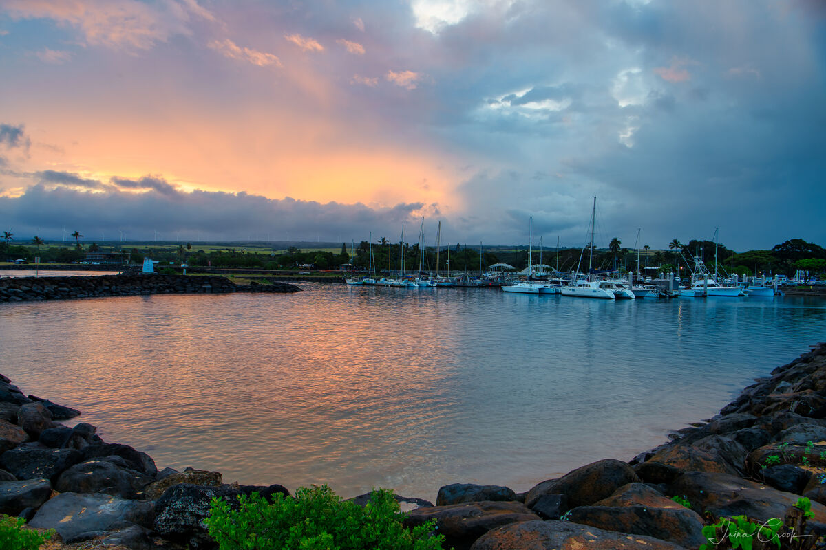 Caramel colors at sunrise ( sorry for my autocorrect mistakes in post ...