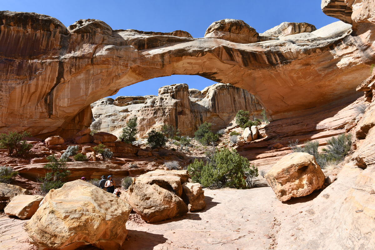 Hickman arch in Capital reef: unprocessed jpeg comments please...