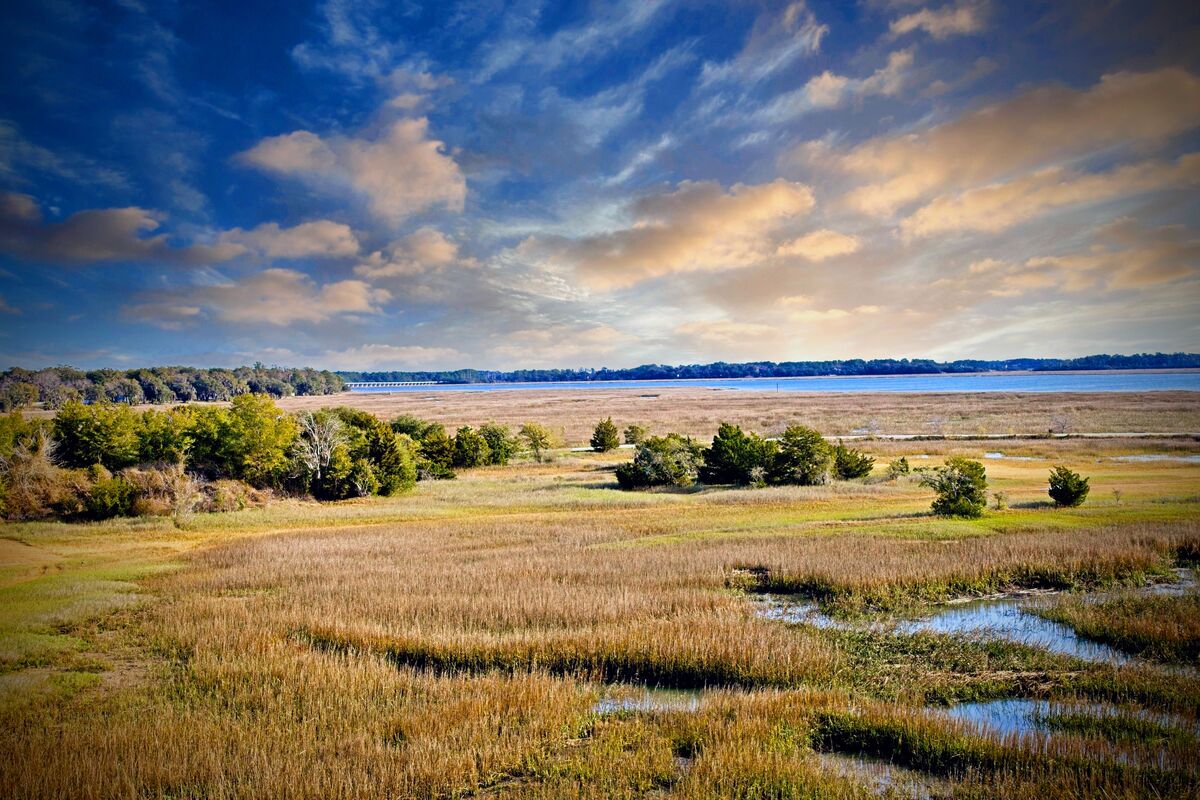 An other view: Of a Port Royal, SC landscape taken last August...