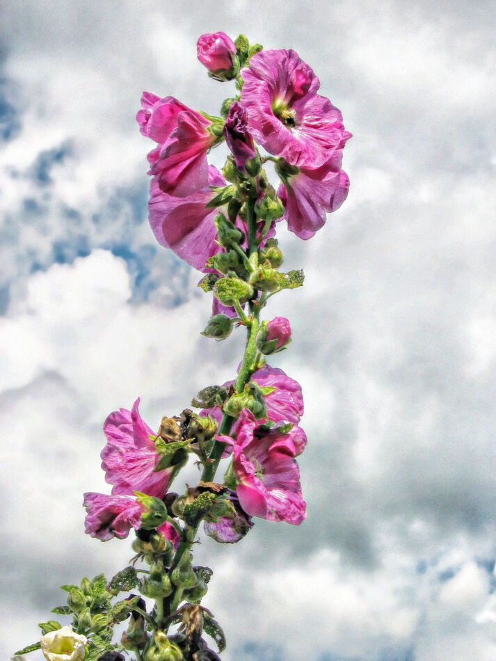 Favorite Color Family: Beautiful eye catchers