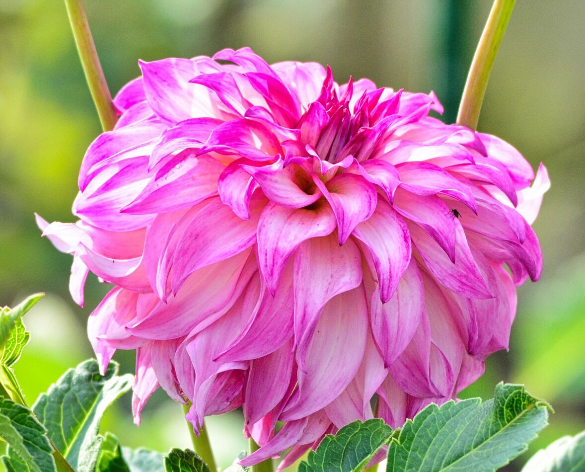 Favorite Color Family: Beautiful eye catchers