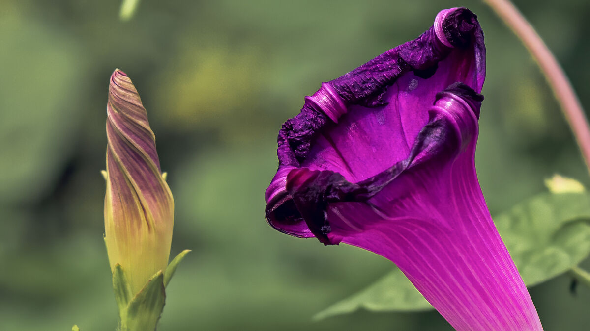 Color Wheel: I have never posted to this section before but I thought ...