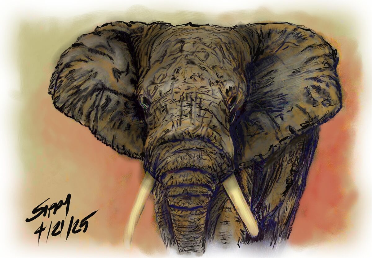 Elephant - Imaginary Safari: I'm in awe of the wonderful and exciting ...
