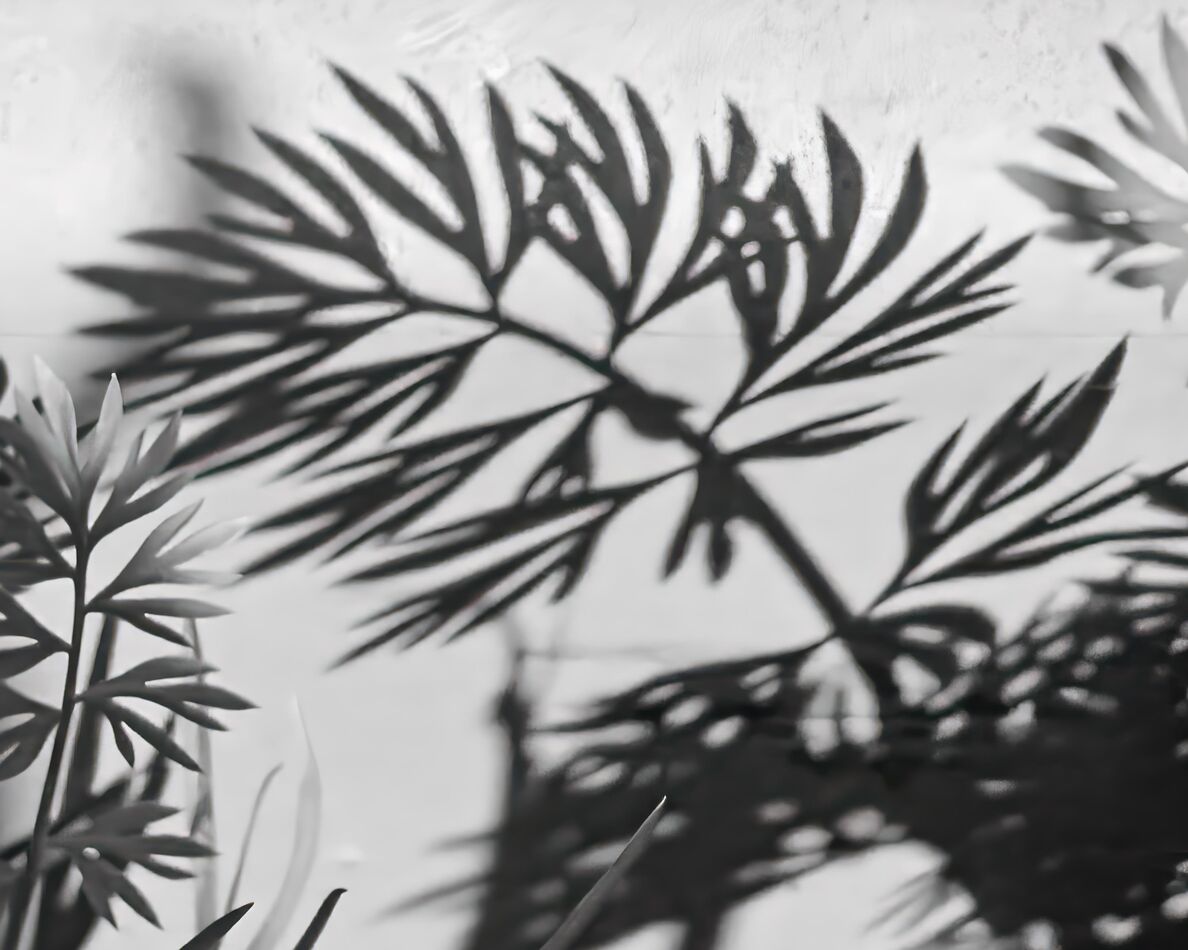 Light and Shadow: Just a few shots of patterns, light, and shadows. I ...