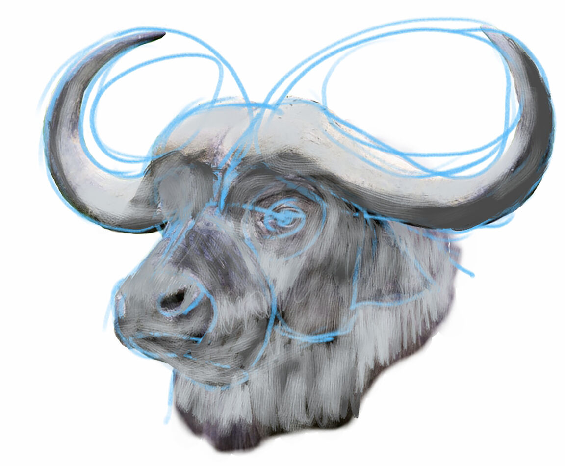 Imaginary Safari - Cape Buffalo: My imaginary safari continues when I ...