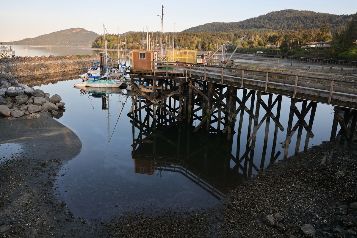 Low tide in Osborne Bay: In the past Osborne Bay on southern Vancouver ...