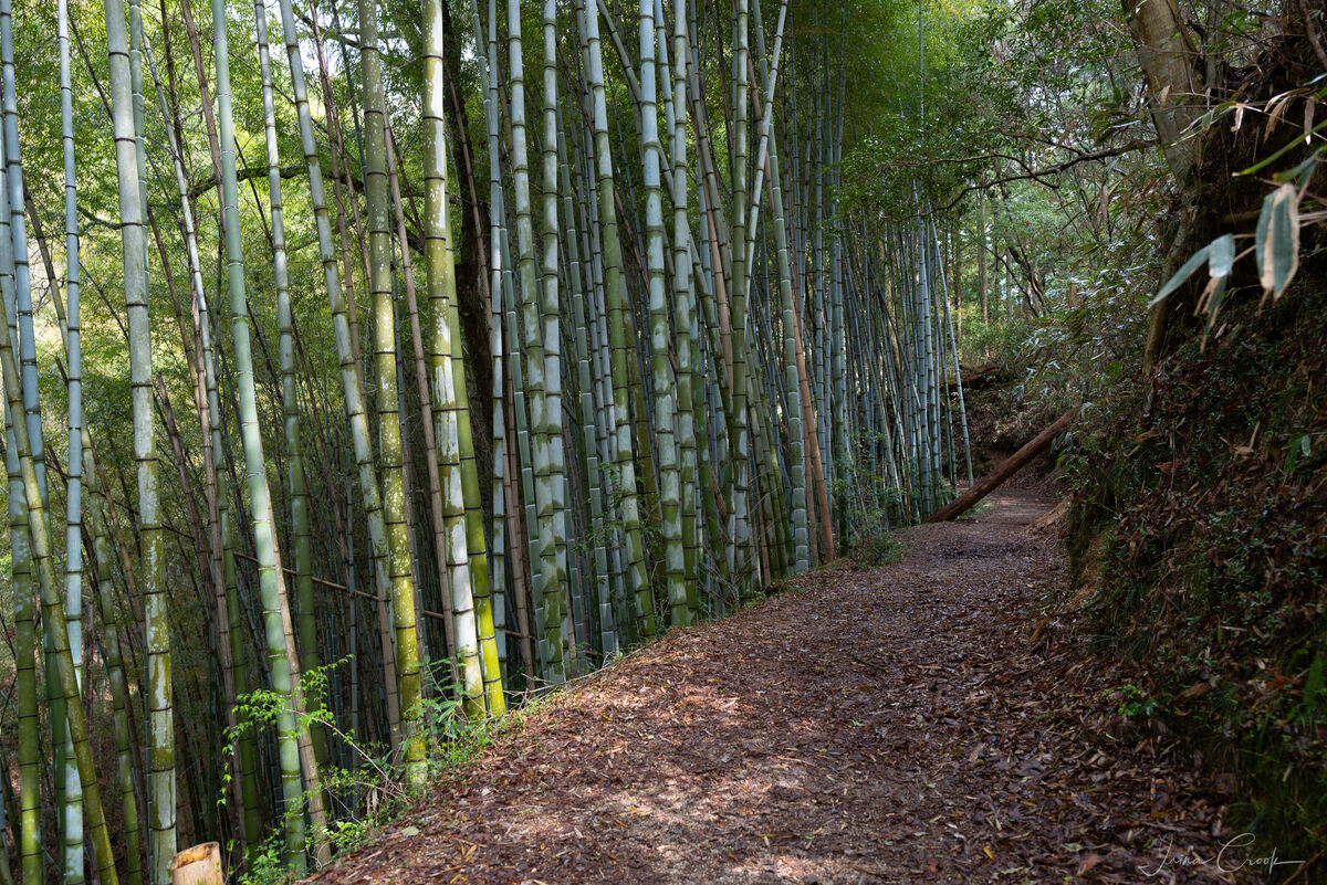 The Nakasendo Trail - walking through ancient postal towns of central ...