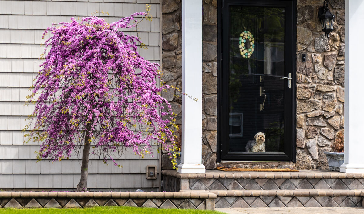 Spring Has Sprung: Went for my first springtime early morning walk this ...