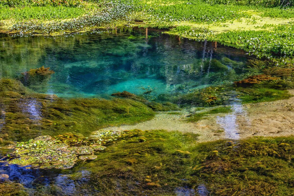 Magnolia Springs State Park….Crystal-Clear Springs: I stopped at the ...