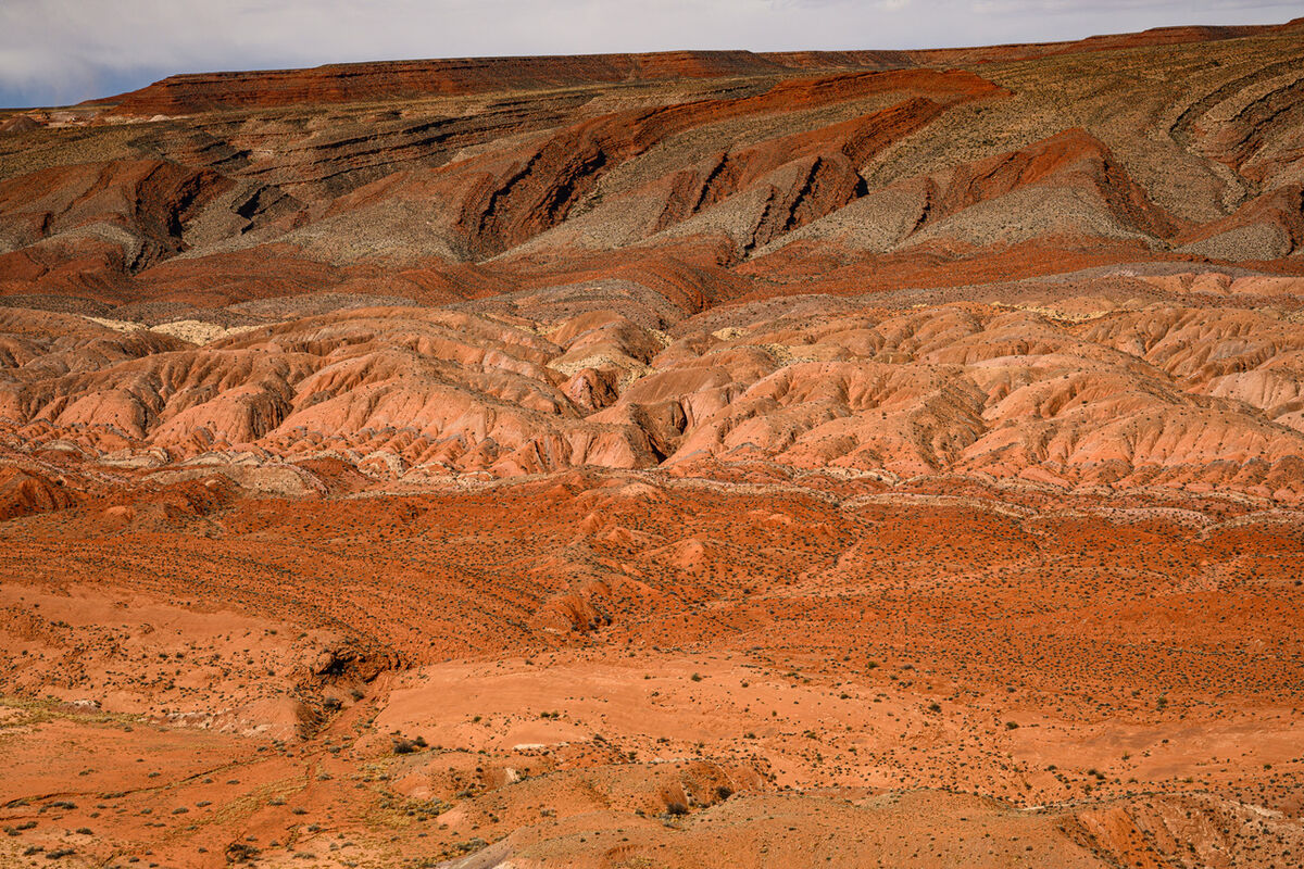Utah adventure: climbing along the top of Comb Ridge: Comb Ridge is an ...