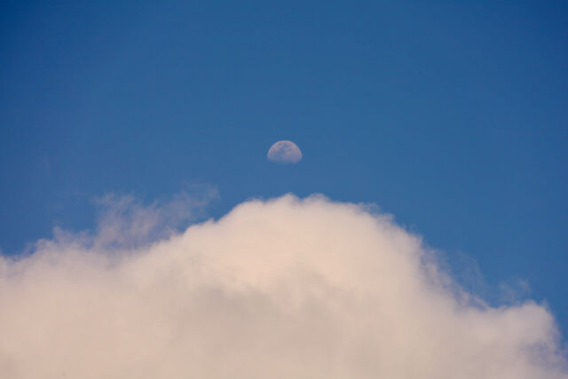 Afternoon Moon: Never tried to photograph a daylight moon with a small ...