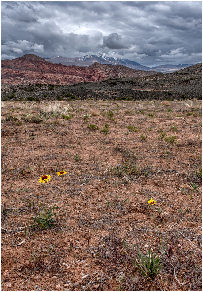 The (Lower) Poverty Flats Report: ....for yesterday, May 7th, 2025: The ...