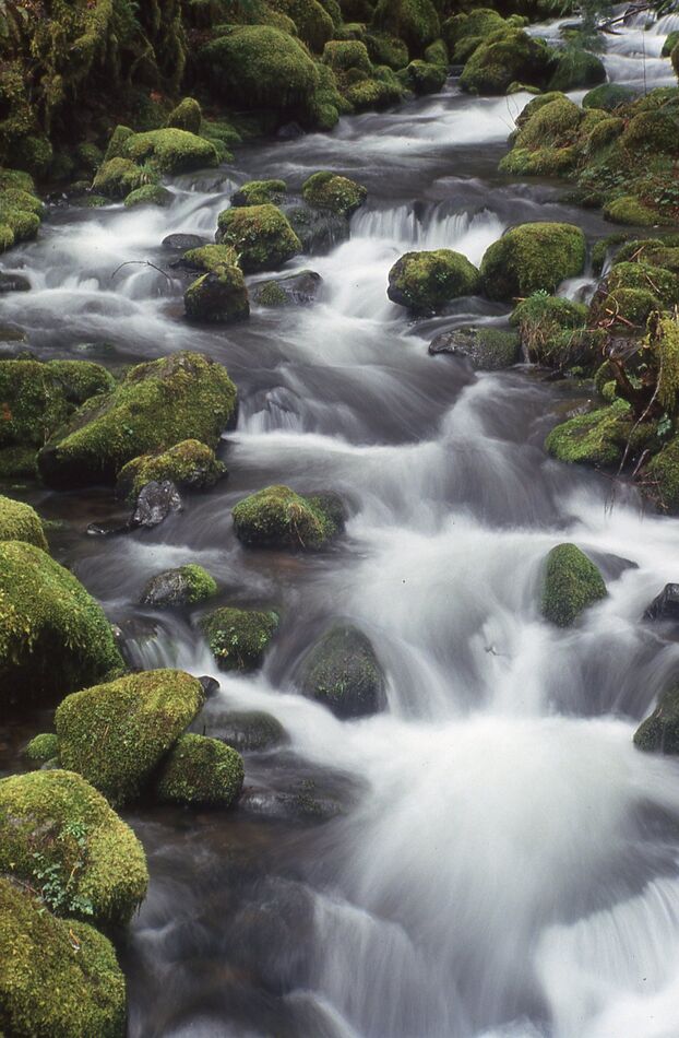 copying Slides (Page 3): As did Kodak Bremson with their HR500 Plus ...