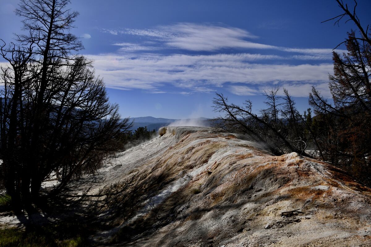 Yellowstone’s Relatively New Terrace in Mammoth Sprigs: The terraces in ...