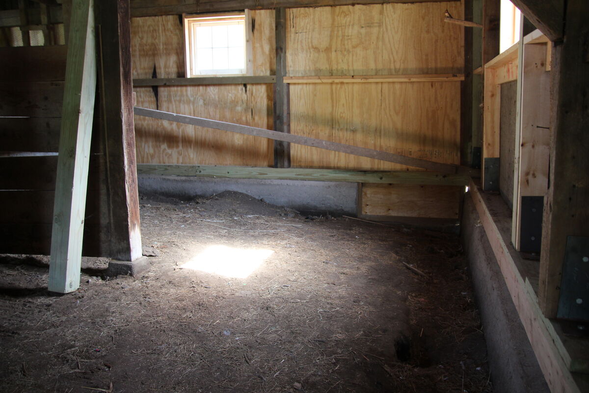 The window: I was trying to capture this light coming through the ...