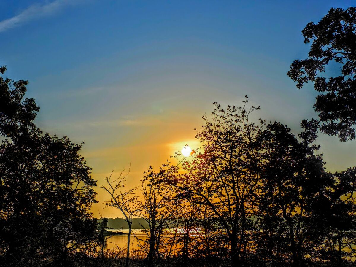 Sun: . Start of Summer Sun
