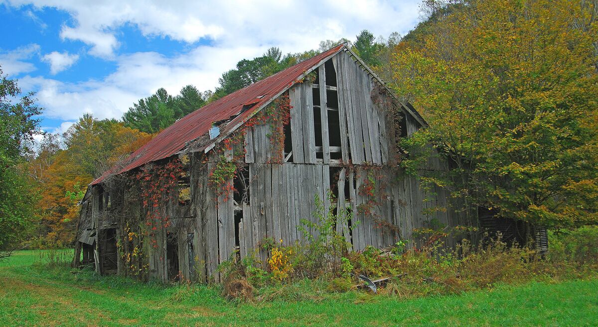 Home to the largest copperhead snake I've ever encountered: I run ...