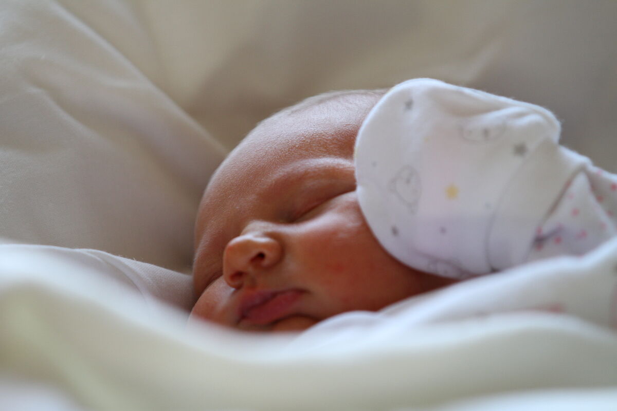 Newest Arrival: Managed to get this shot of a very peaceful sleeper. I ...