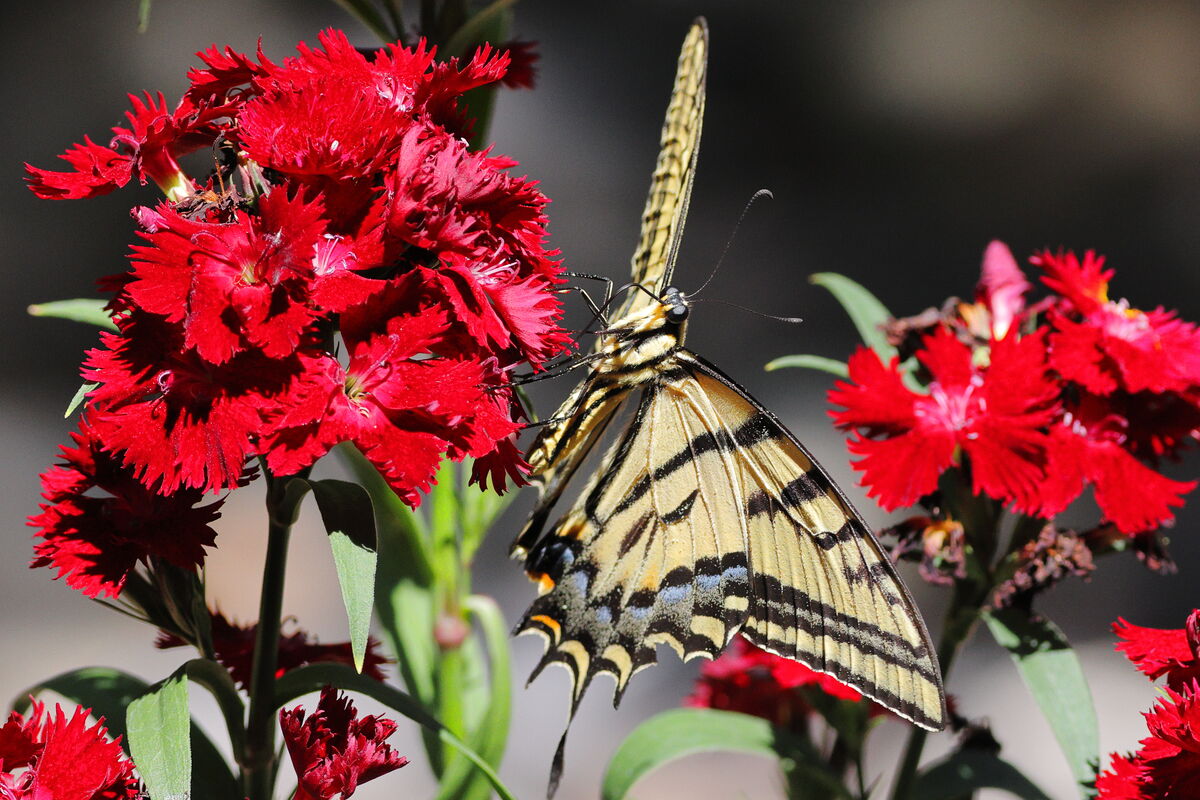 Spring at Last NM: Spring at Last NM...