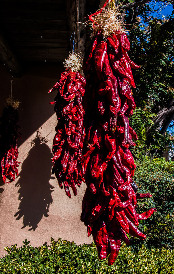 chili ristras Santa Fe NM: These strings of red chili peppers are ...