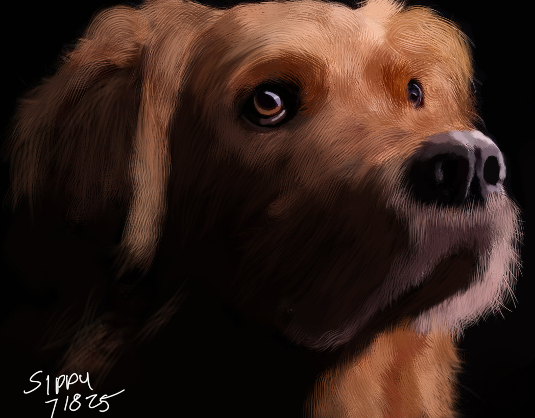 Red Dog - Digital Painting: Today's painting is a red dog (well, a ...