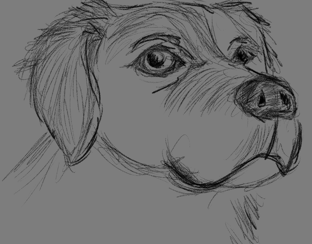 Red Dog - Digital Painting: Today's painting is a red dog (well, a ...