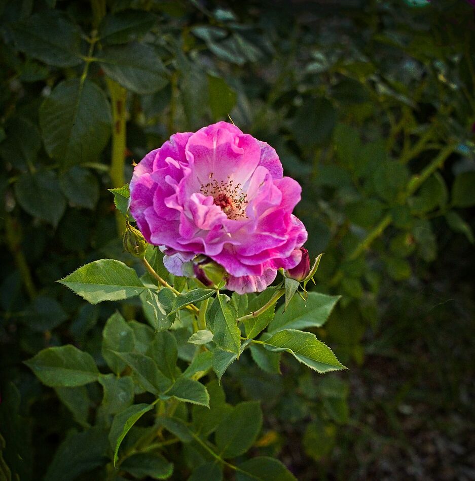 Harsh sun at 6pm: Even in late afternoon the sun is very bright and ...