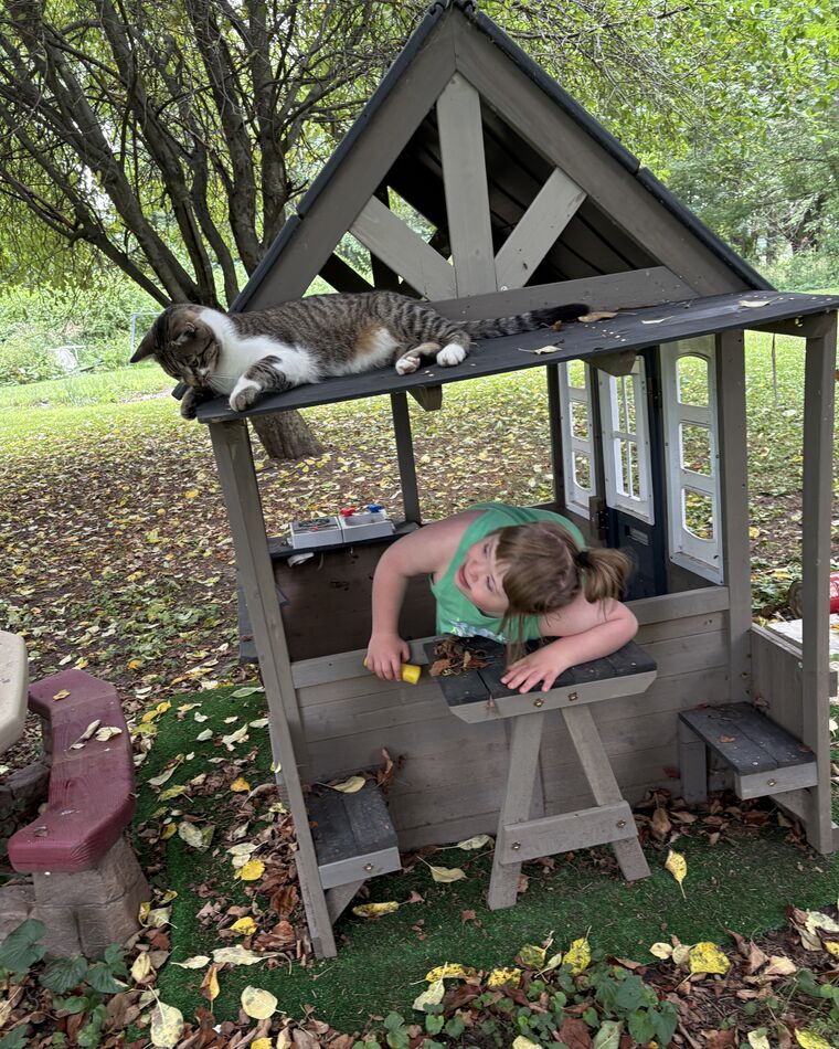 THE NUGGET CAFE: KITTYWIGGLES ORDERS UP A PLATE OF TUNA AT THE NUGGET ...