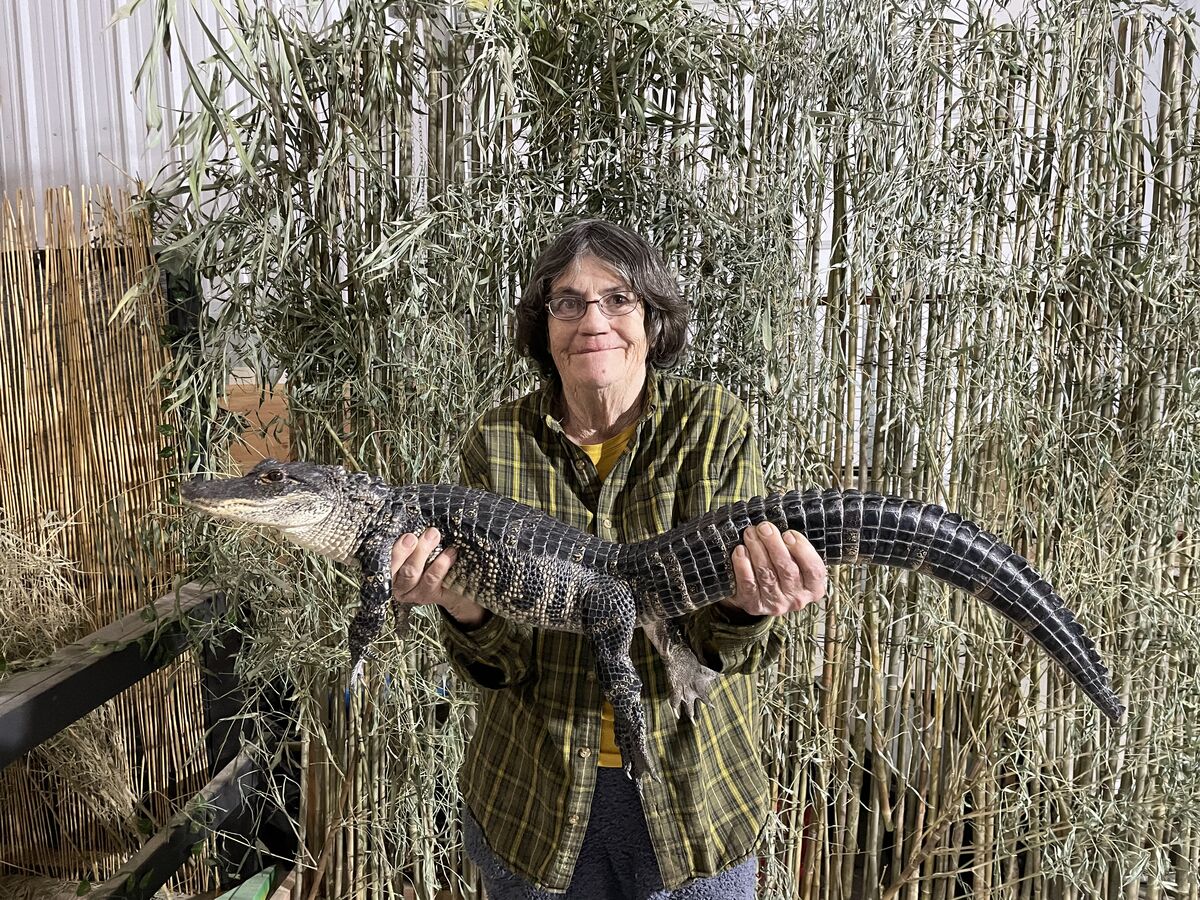 Rescue ‘Gators — COLORADO: A gator-farm (?) in the San Louis Valley of ...