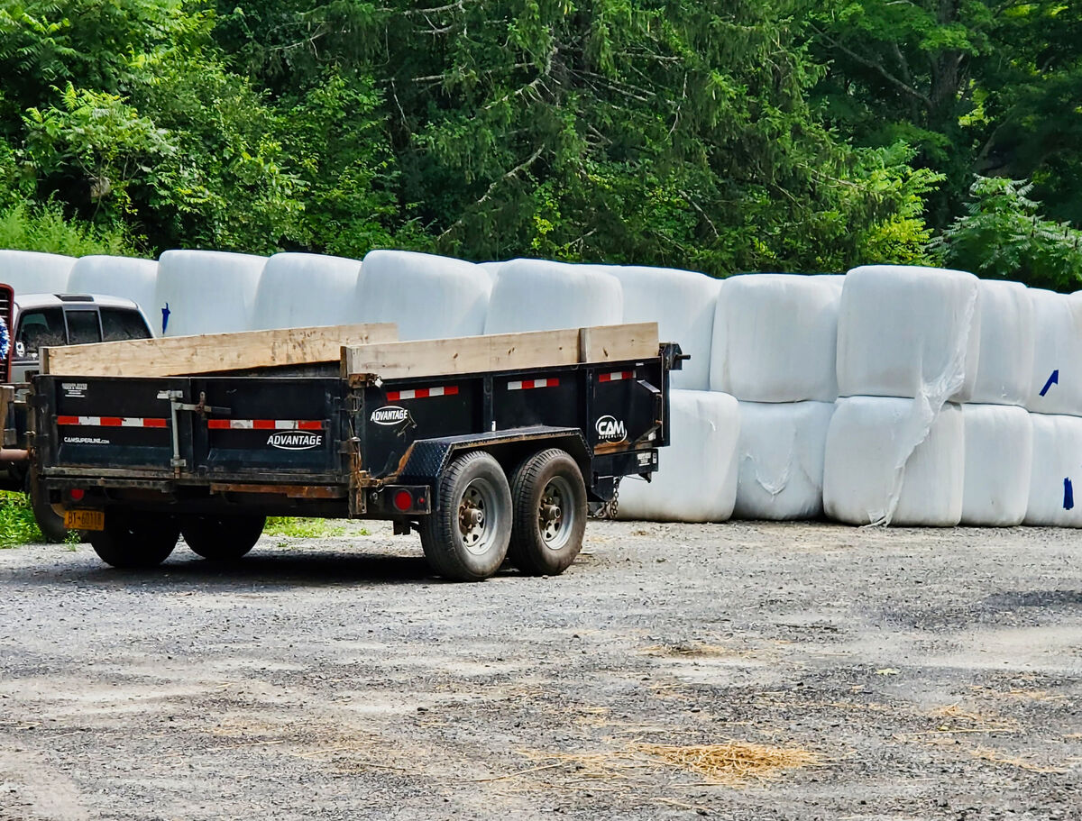 Another Good Marshmallow Crop: Once again, the local farms have ...