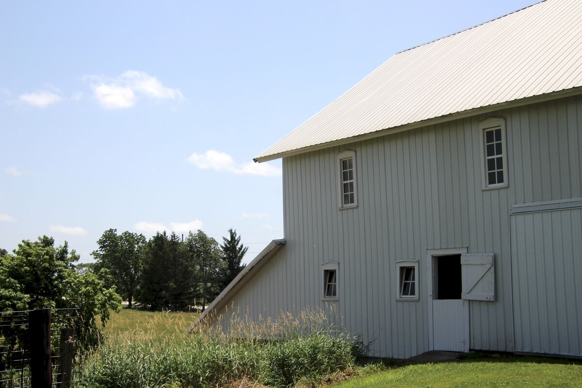 1897 Barn: This bank barn is 36' x56'. This property has been in the ...