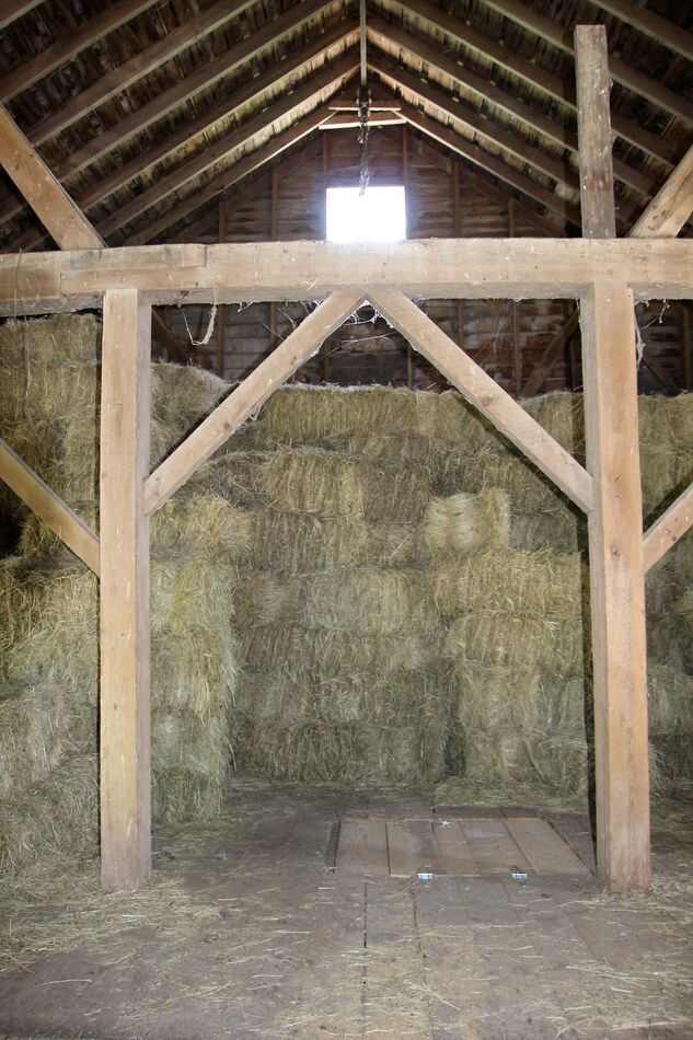 1897 Barn: This bank barn is 36' x56'. This property has been in the ...