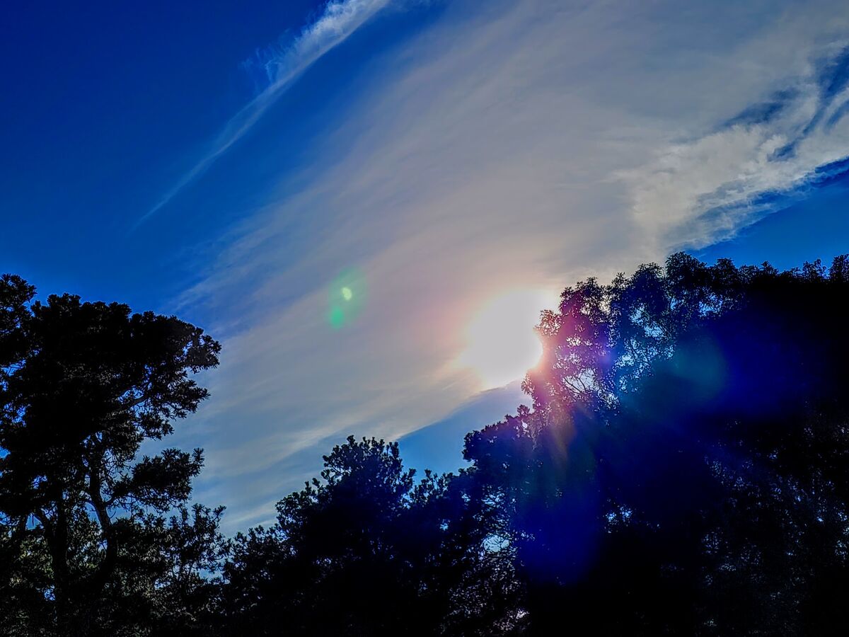 Sun: . Sun.