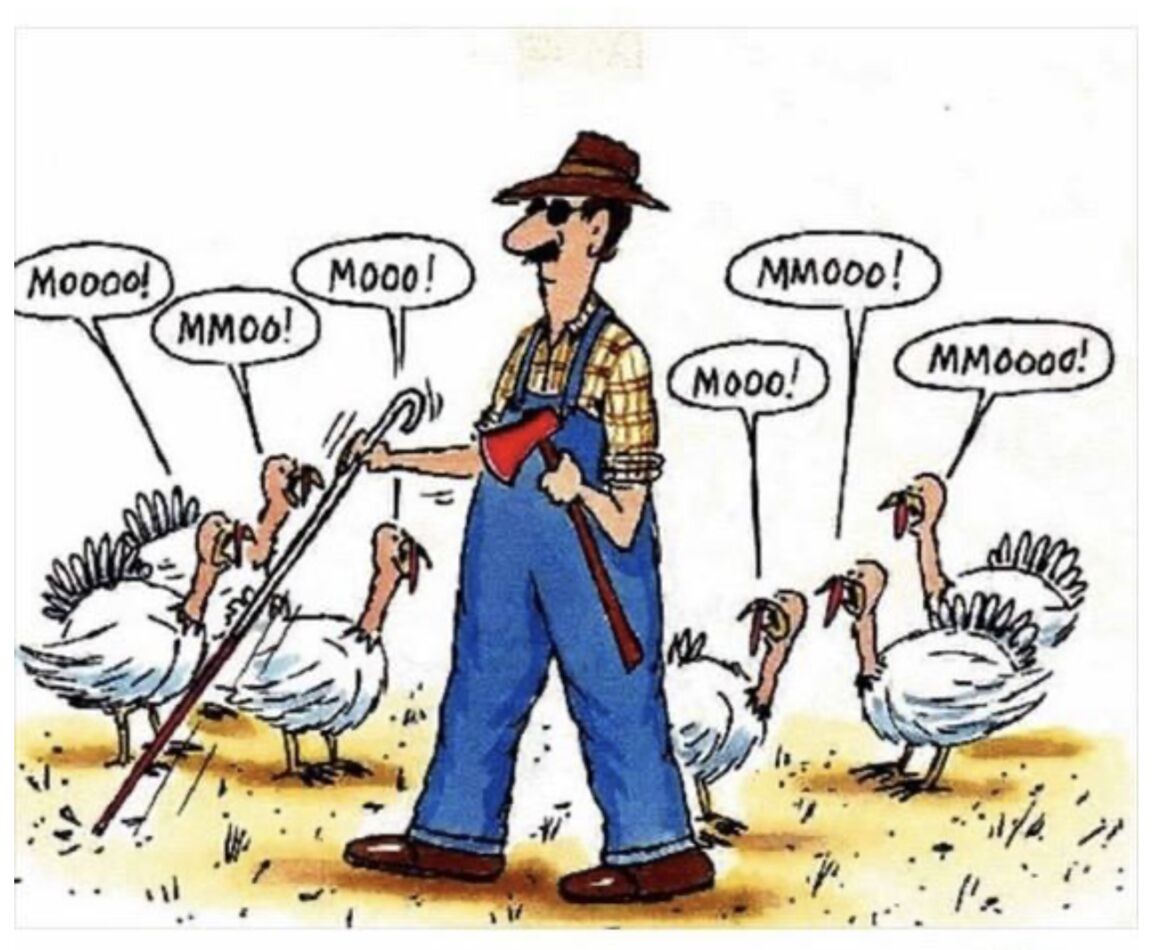 Gobble, er, uh, I mean.. moo!