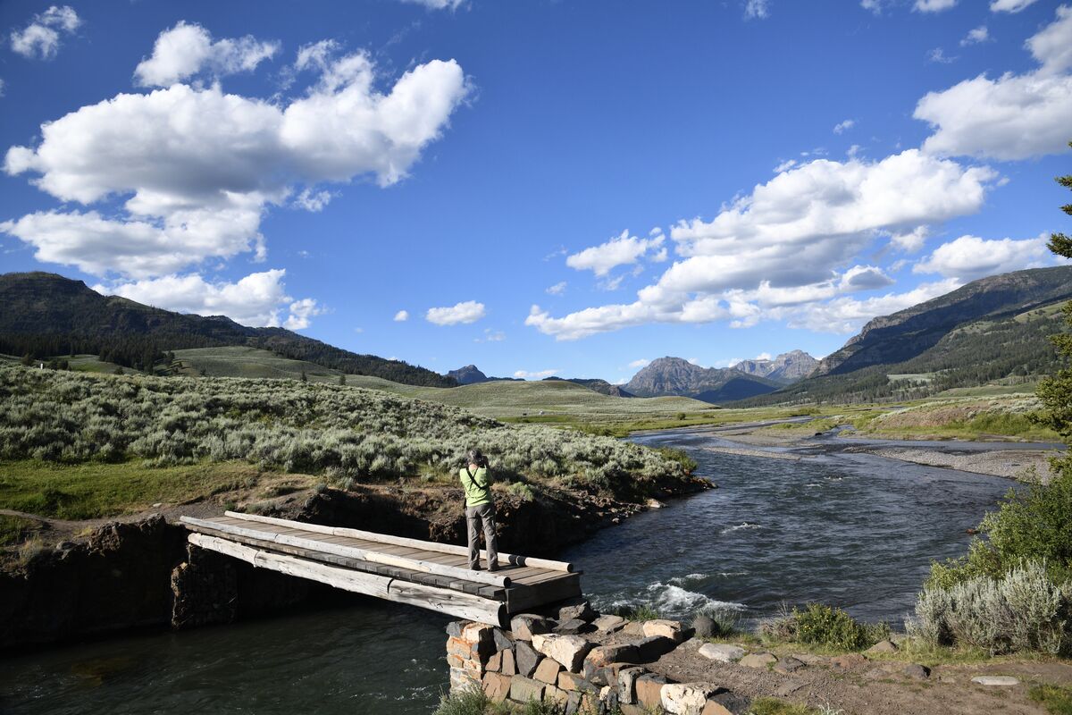 Footbridge In Yellowstone: In Lamar Valley and a little east of ...