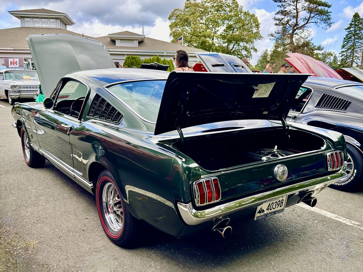 1965 Mustang Fastback: I owned a '65 Forest Green 442 with redlines ...
